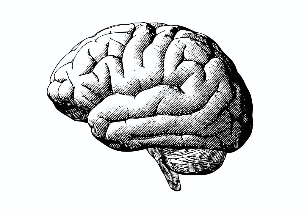 Kava For Anxiety: What Does the Science Say? - Kava Guides Kava For Anxiety: What Does the Science Say? - Kava Guides