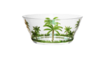 Kava Bowls: Fijian, Samoan, & Modern Kava Tanoas - Kava Guides